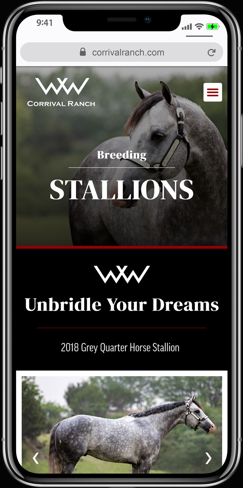 Corrival Ranch - Equiluxe Marketing