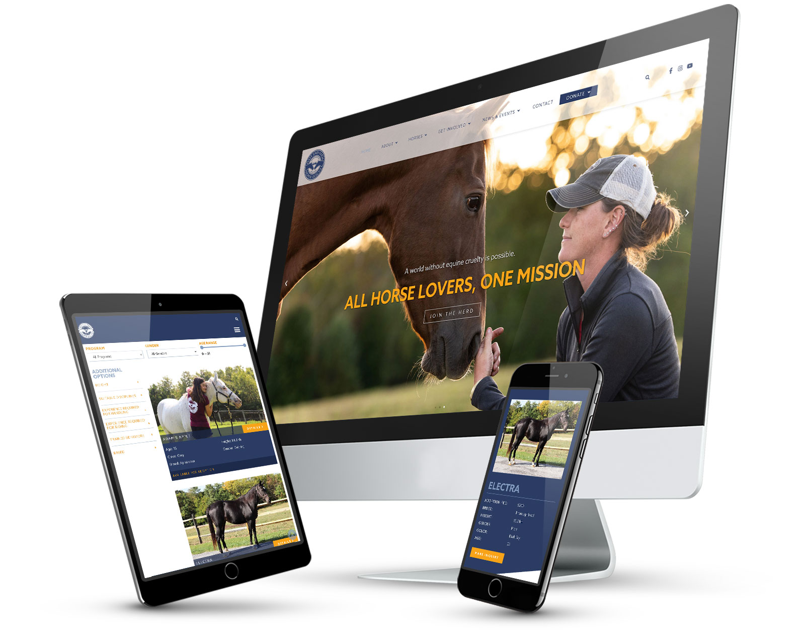 Equestrian Marketing & Equine Web Design Specialist - Equiluxe Marketing