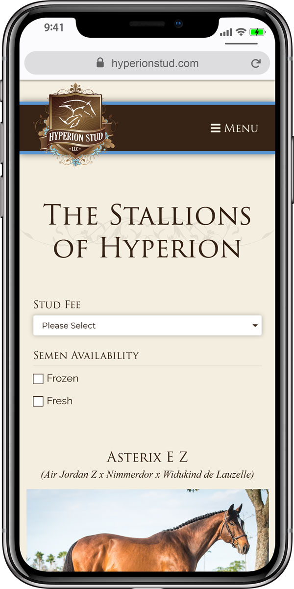 Hyperion Stud - Equiluxe Marketing
